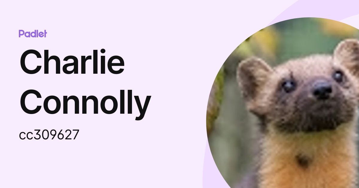 Charlie Connolly (cc309627) profile | Padlet