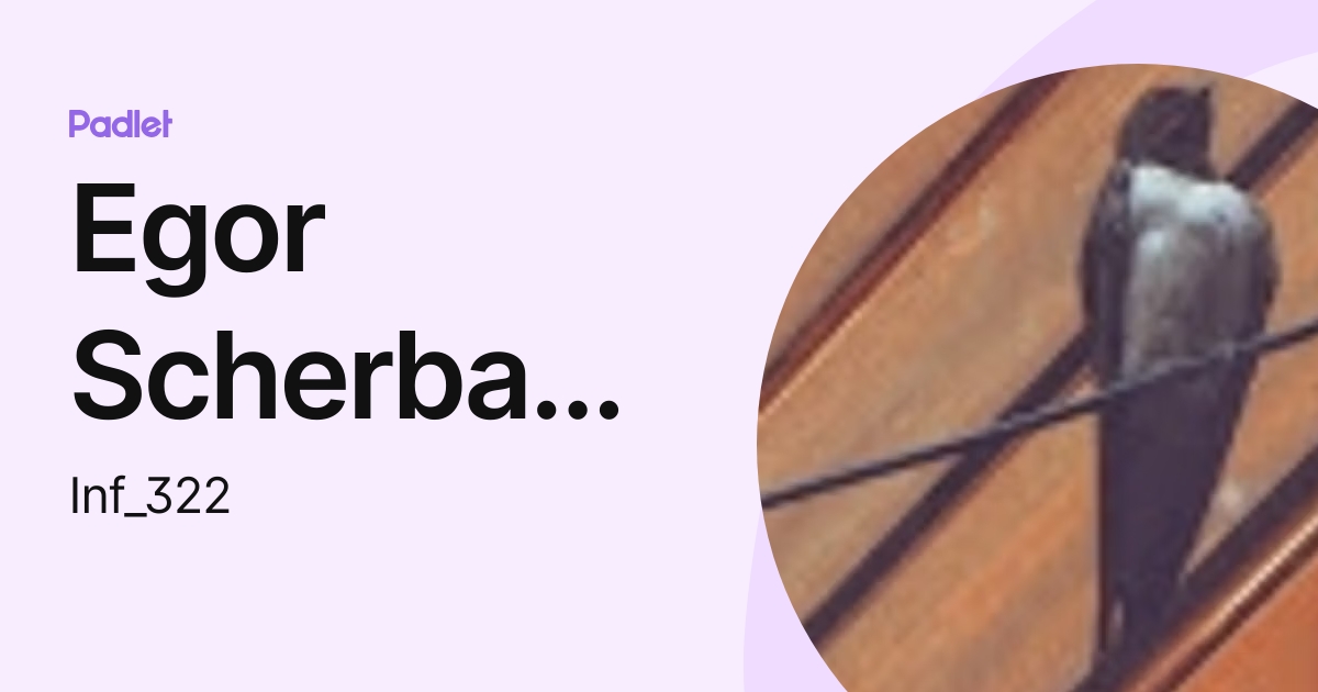 Egor Scherbakov (Inf_322) profile | Padlet