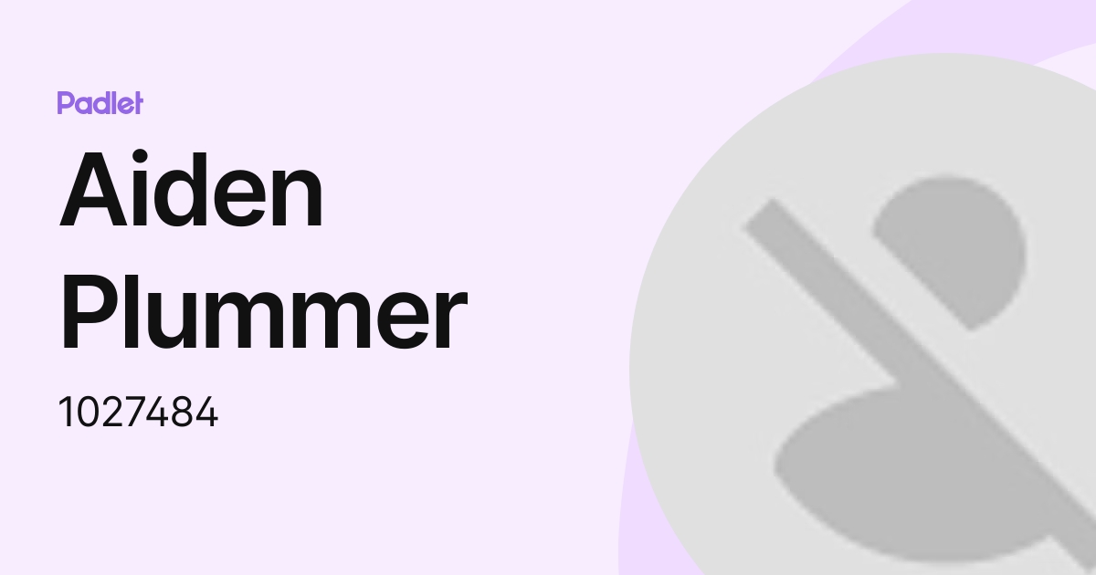 Aiden Plummer (1027484) profile | Padlet