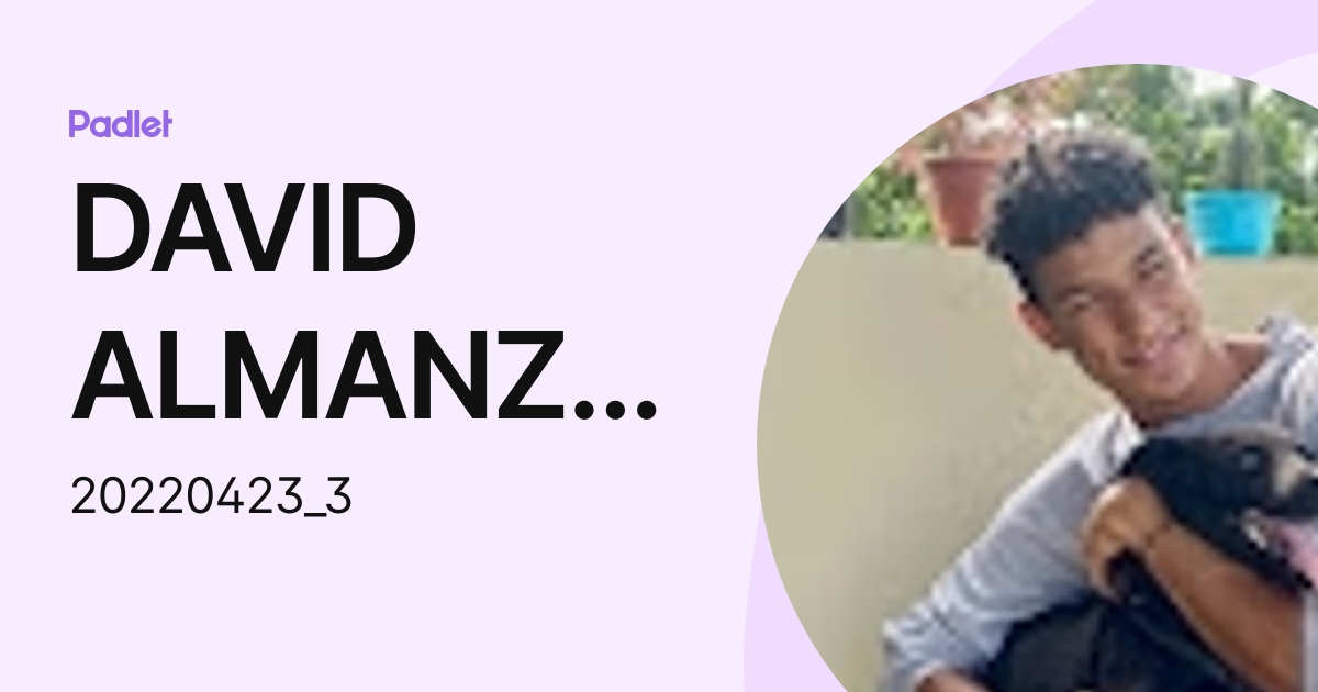 DAVID ALMANZAR SANCHEZ (20220423_3) profile | Padlet