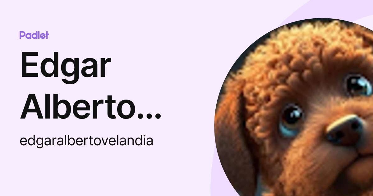 Edgar Alberto Velandia Mila (edgaralbertovelandia) profile | Padlet