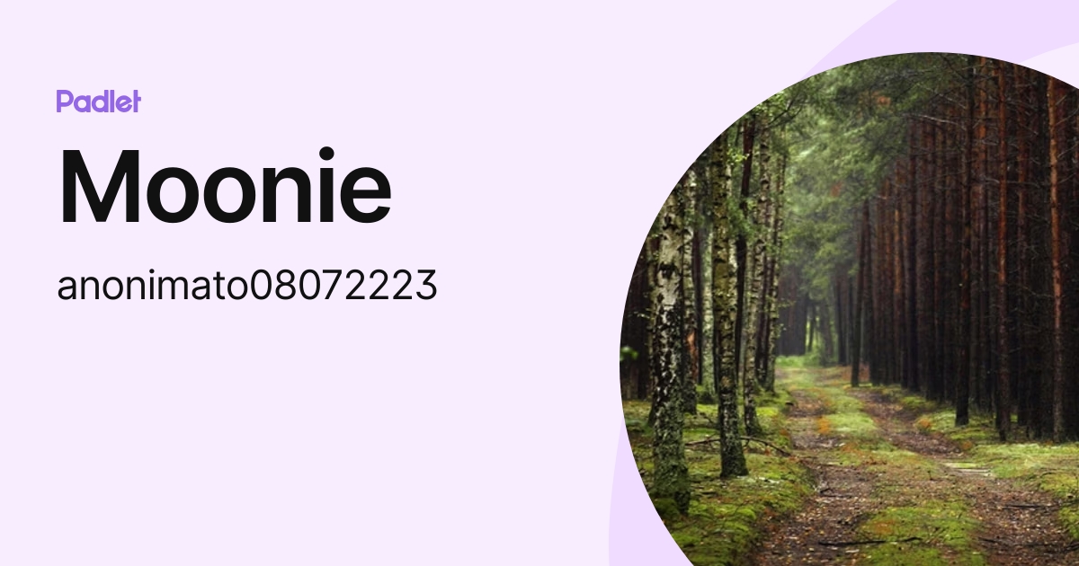Moonie (anonimato08072223) profile | Padlet