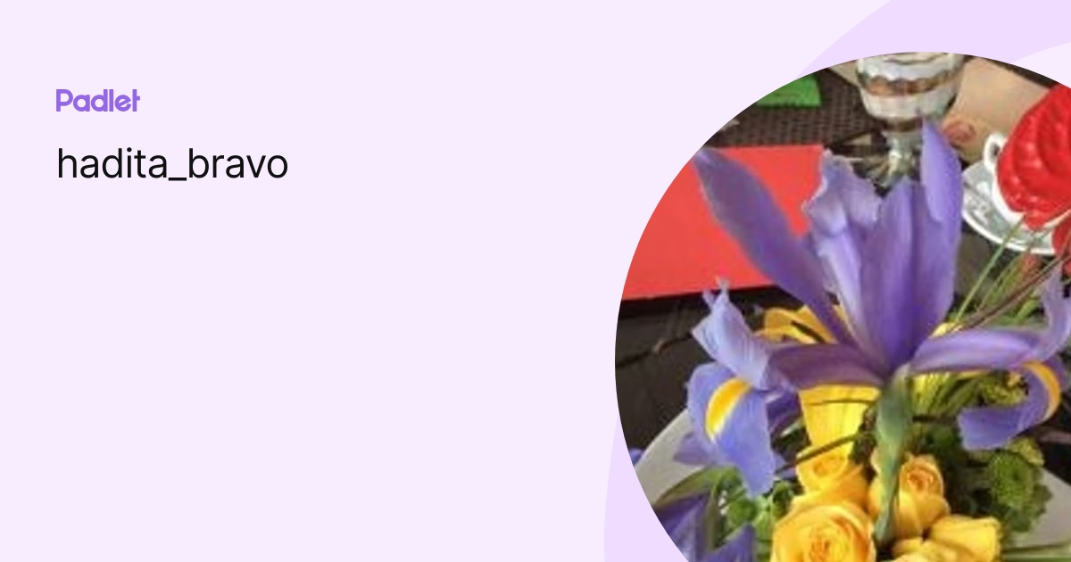 hadita_bravo profile | Padlet