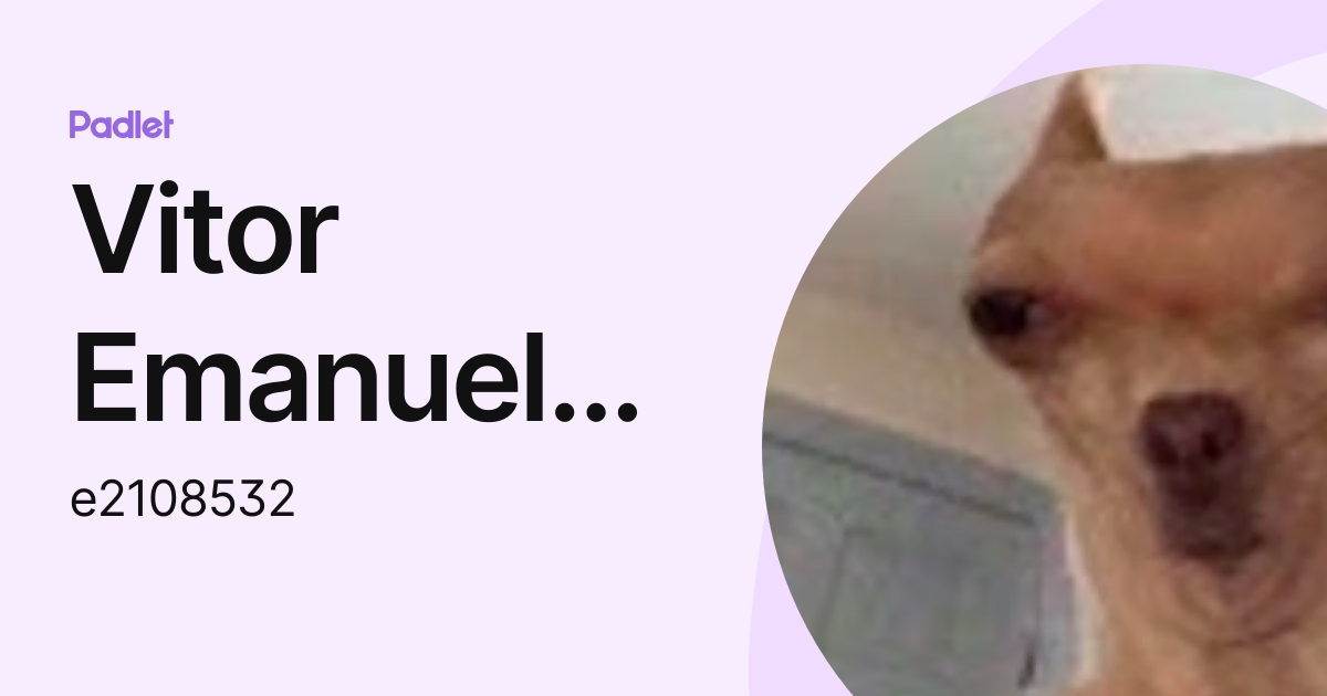 Vitor Emanuel Silva Fodra (e2108532) profile | Padlet