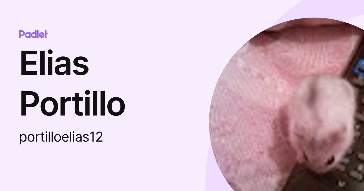 Elias Portillo (portilloelias12) profile | Padlet