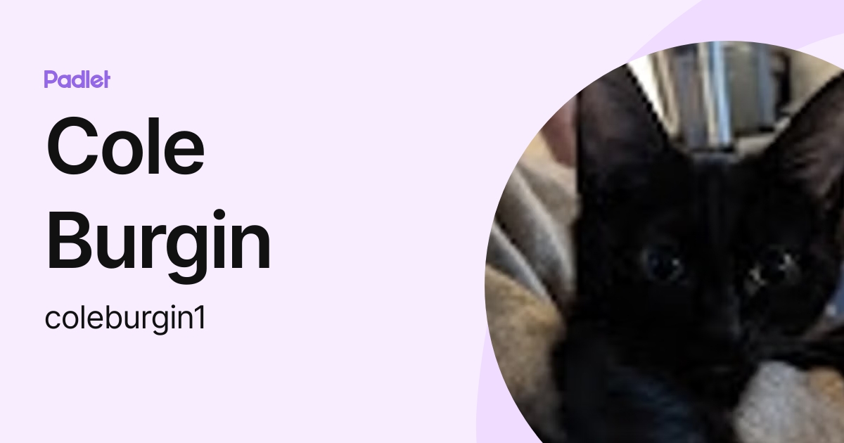 Cole Burgin (coleburgin1) profile | Padlet