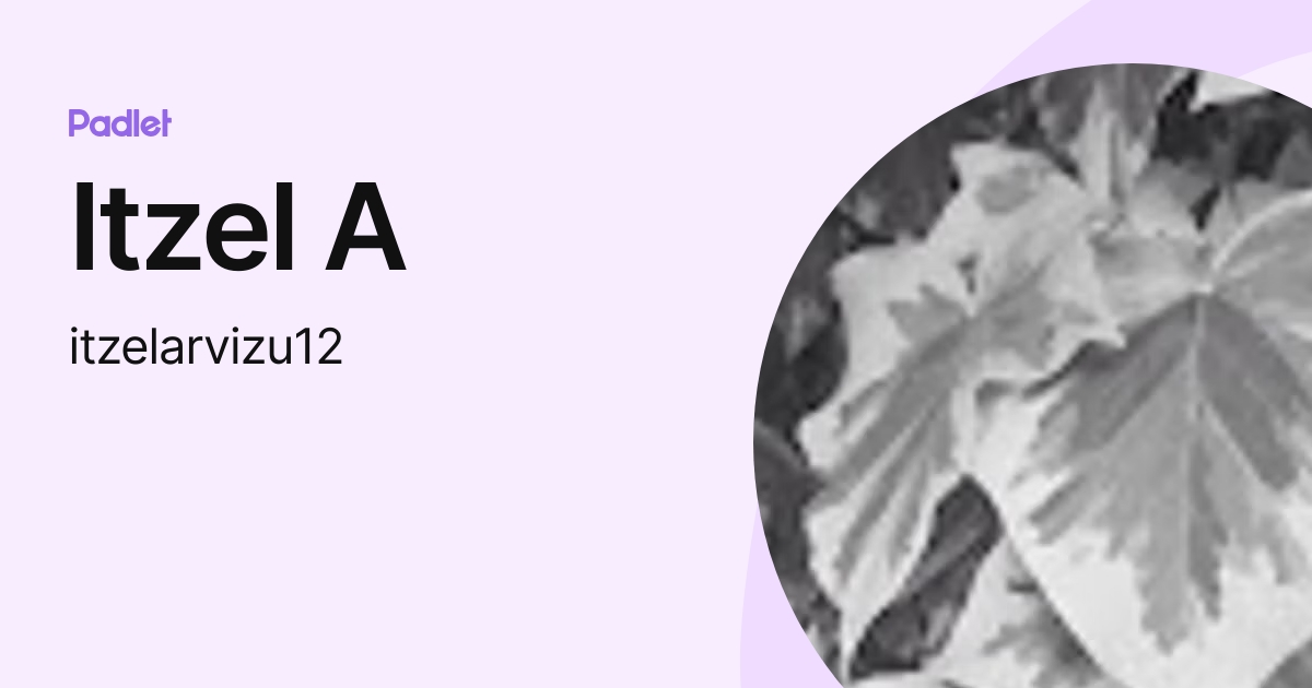 Itzel A (itzelarvizu12) profile | Padlet