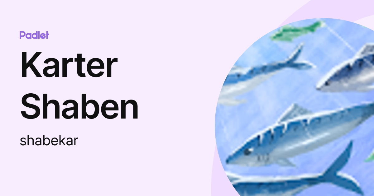 Karter Shaben (shabekar) profile | Padlet