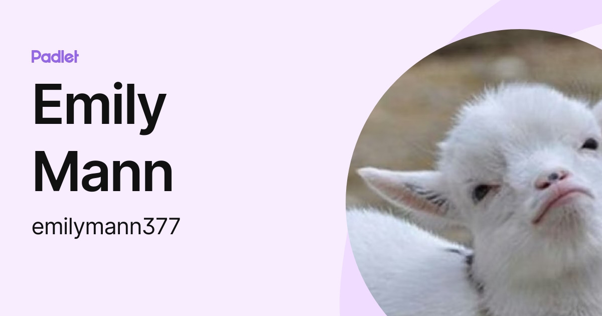 Emily Mann (emilymann377) profile | Padlet