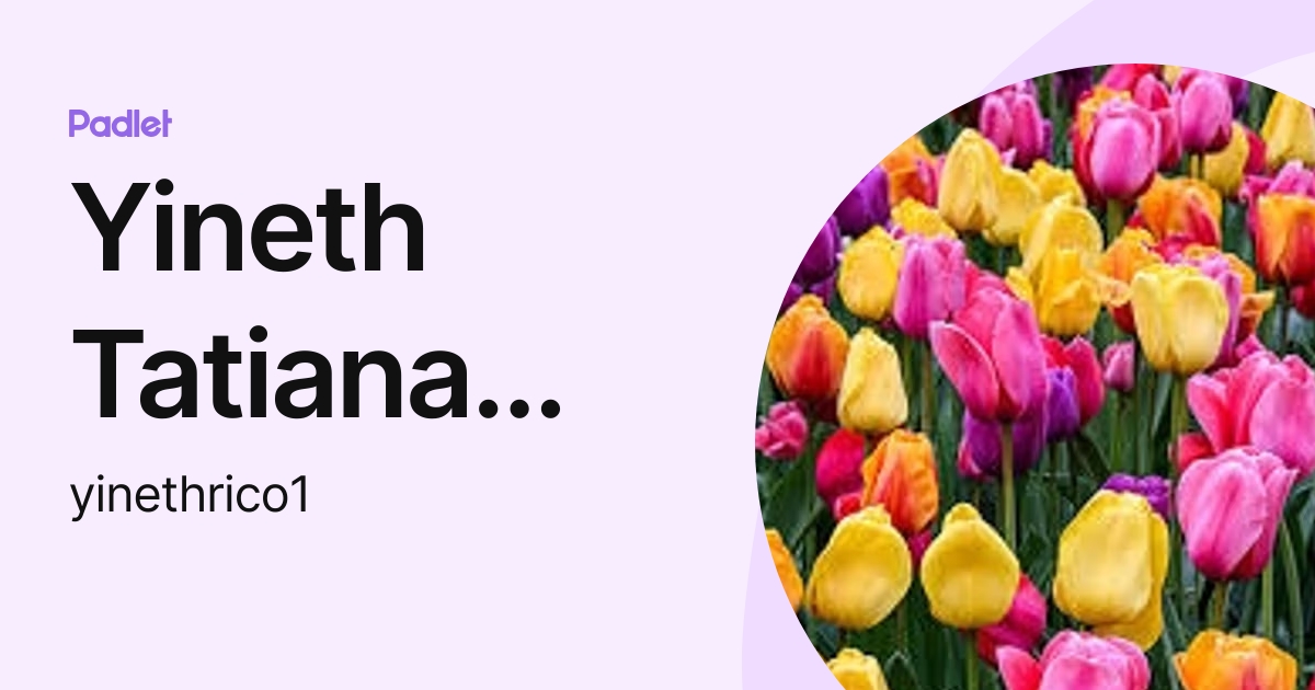 Yineth Tatiana Rico Fuentes (yinethrico1) profile | Padlet