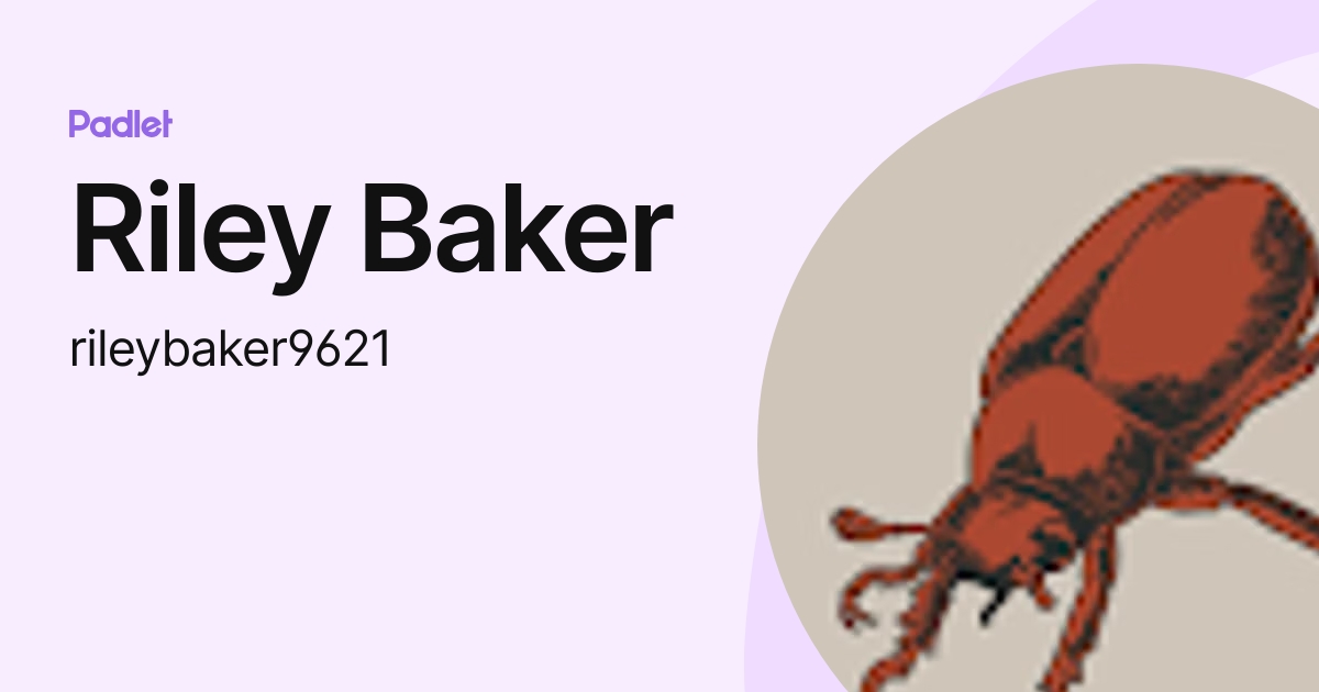 Riley Baker (rileybaker9621) profile | Padlet