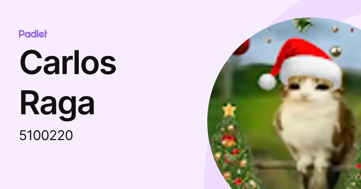 Carlos Raga (5100220) profile | Padlet