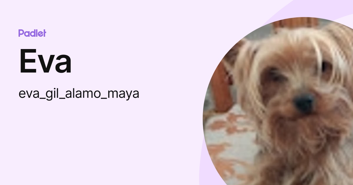 Eva (eva_gil_alamo_maya) profile | Padlet
