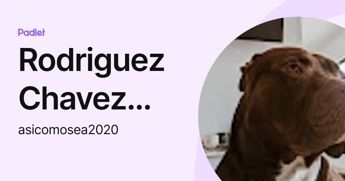 Rodriguez Chavez Kevin Misael (asicomosea2020) profile | Padlet