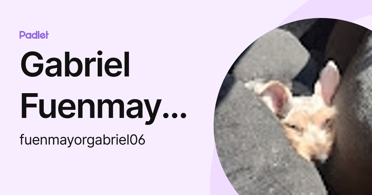 Gabriel Fuenmayor (fuenmayorgabriel06) profile | Padlet