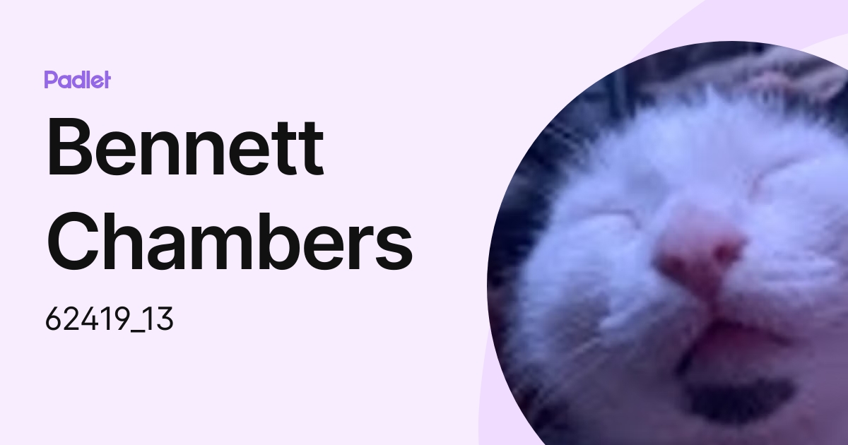 Bennett Chambers (62419_13) profile | Padlet