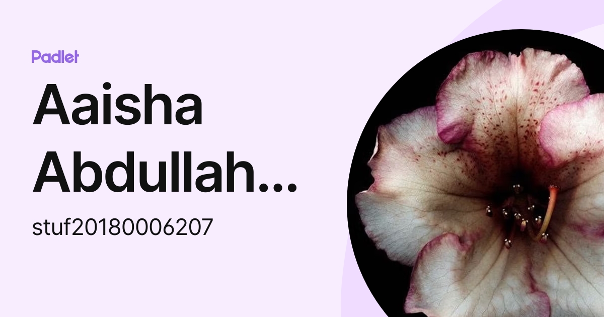 Aaisha Abdullah Othman Ali Al Shehhi (stuf20180006207) profile | Padlet