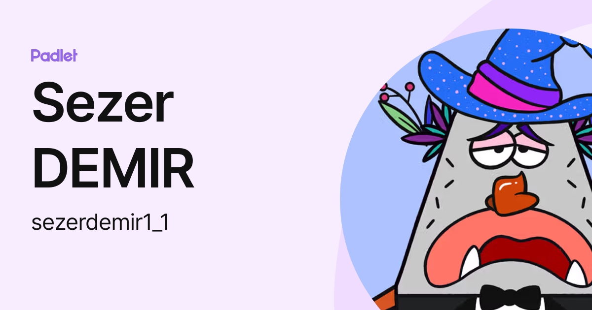 Sezer DEMIR (sezerdemir) profile | Padlet