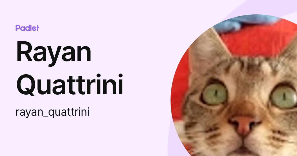 Rayan Quattrini (rayan_quattrini) profile | Padlet
