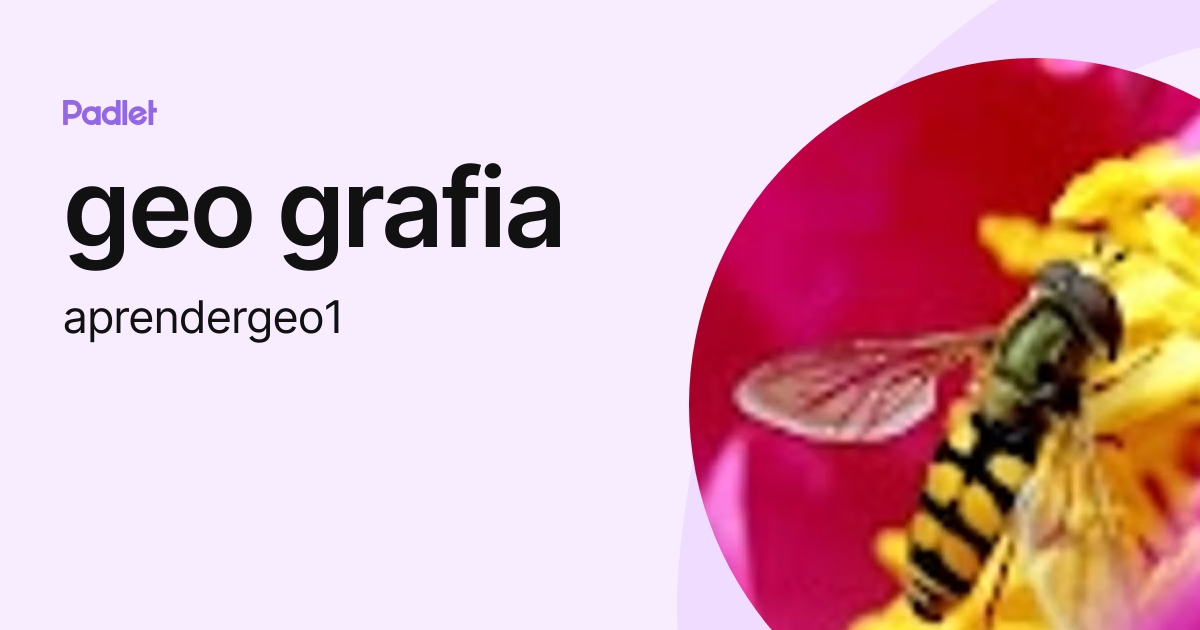 geo grafia (aprendergeo1) profile | Padlet