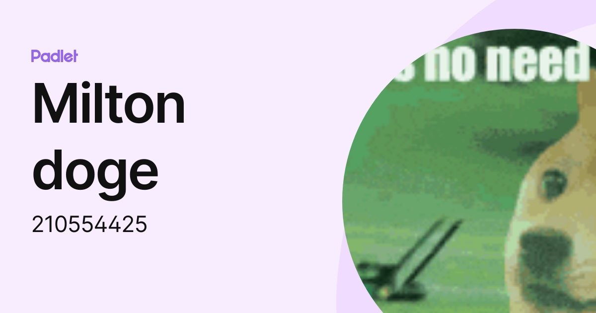 Milton doge (210554425) profile | Padlet