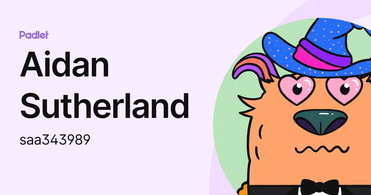 Aidan Sutherland (saa343989) profile | Padlet