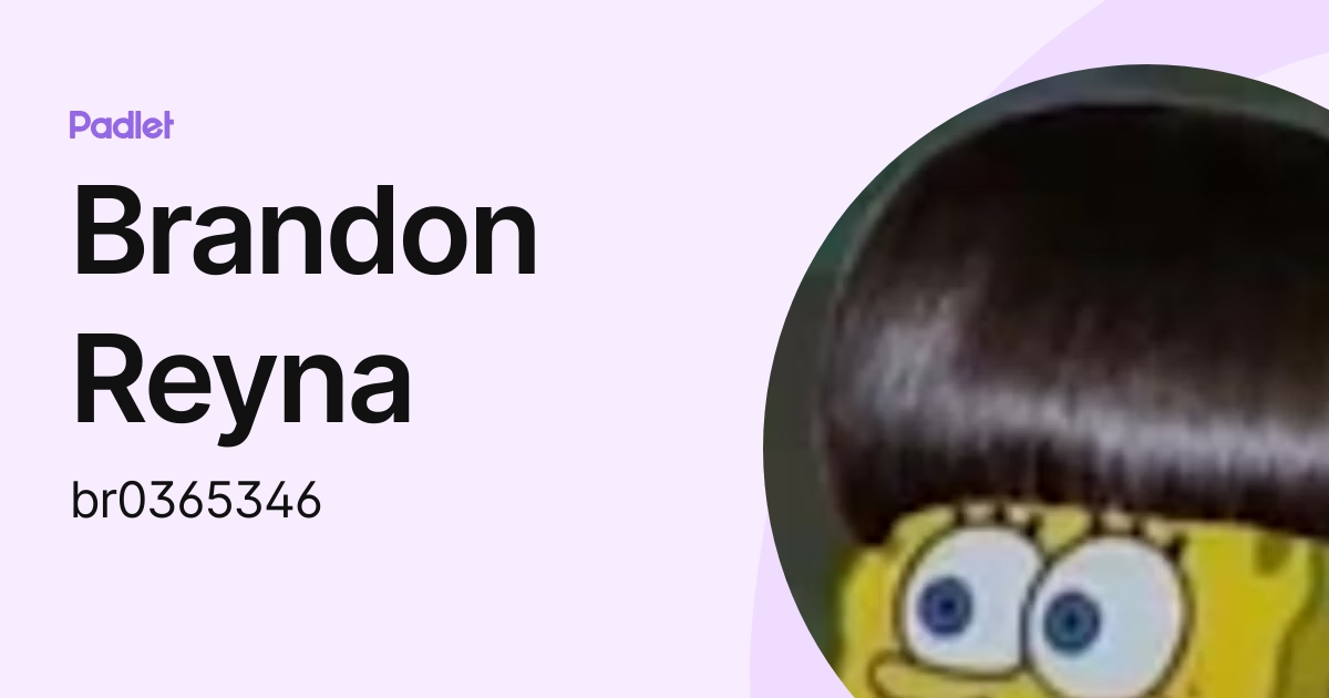 Brandon Reyna (br0365346) profile | Padlet