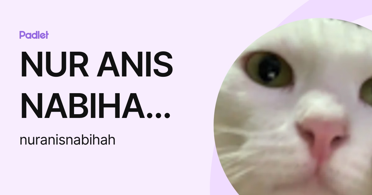 NUR ANIS NABIHAH BINTI AZHAR A22SC0219 (nuranisnabihah) profile | Padlet