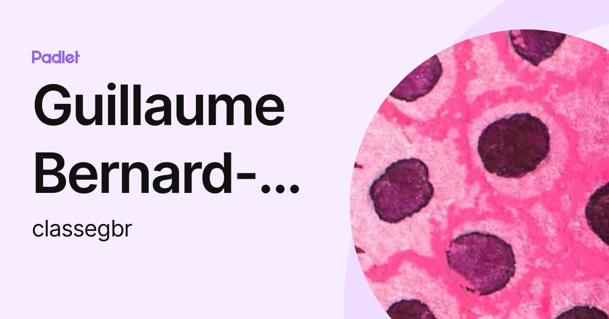 Guillaume Bernard-Reymond (classegbr) profile | Padlet