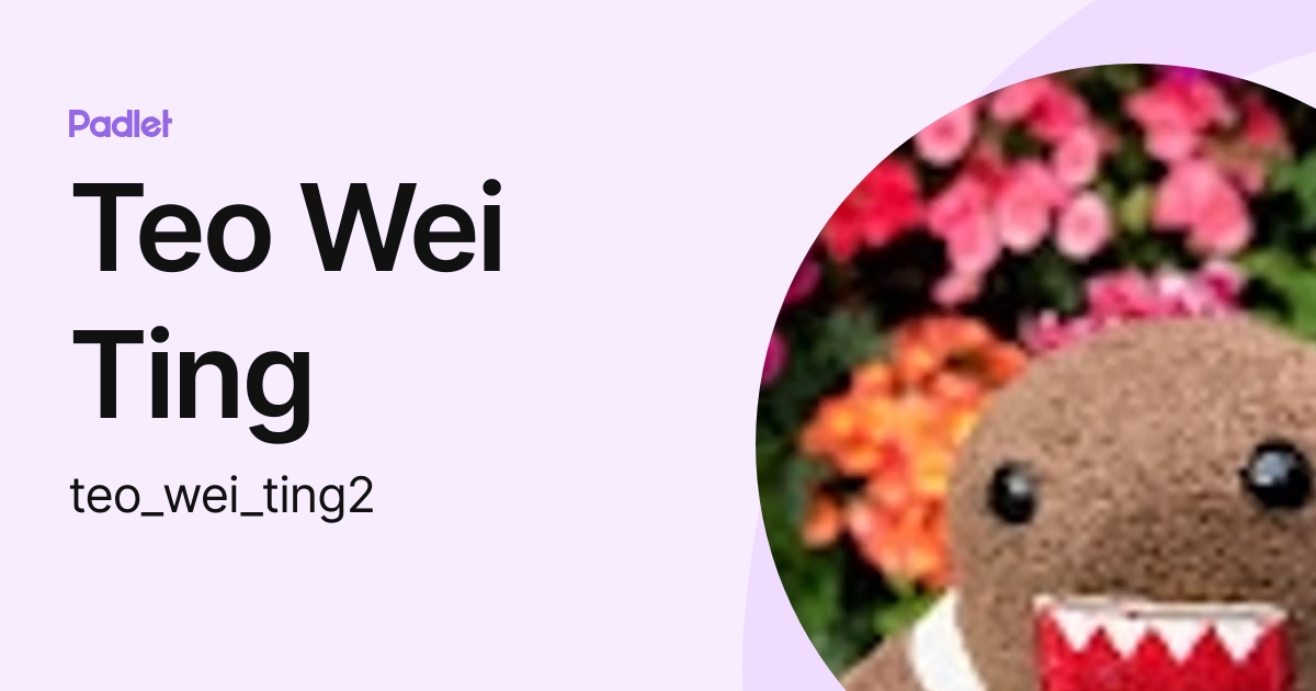 Teo Wei Ting (teo_wei_ting2) profile | Padlet
