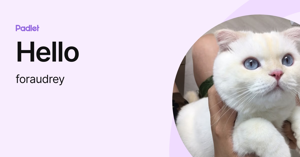 Hello (foraudrey) profile | Padlet