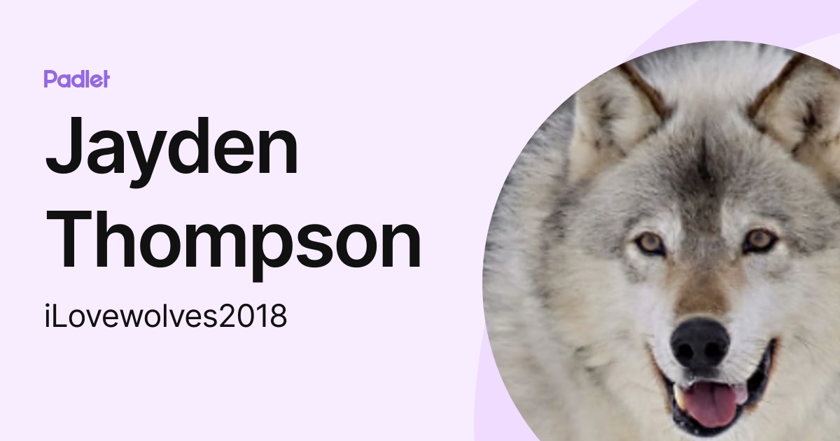 Jayden Thompson (iLovewolves2018) profile | Padlet