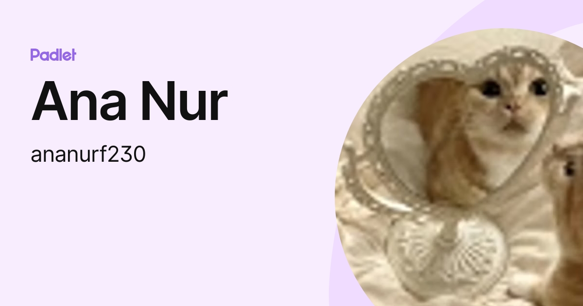Ana Nur (ananurf230) profile | Padlet