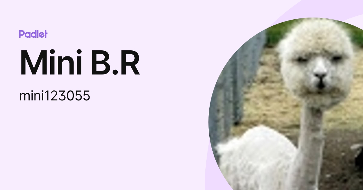 Mini B.R (mini123055) profile | Padlet