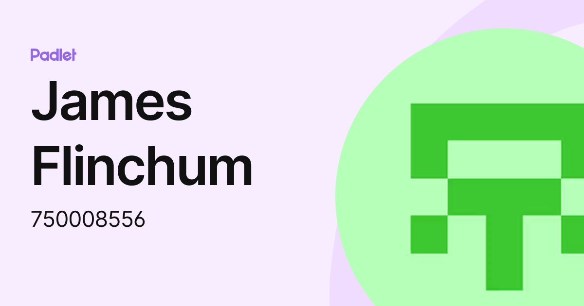 James Flinchum (750008556) profile | Padlet