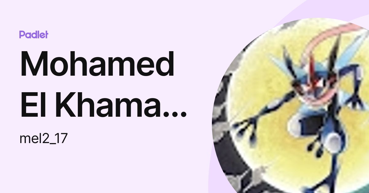 Mohamed El Khamal Rossi el Hassani (mel2_17) profile | Padlet