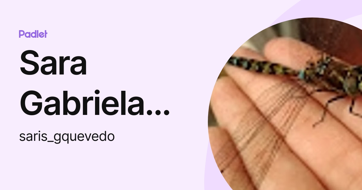 Sara Gabriela Godoy Quevedo (saris_gquevedo) profile | Padlet