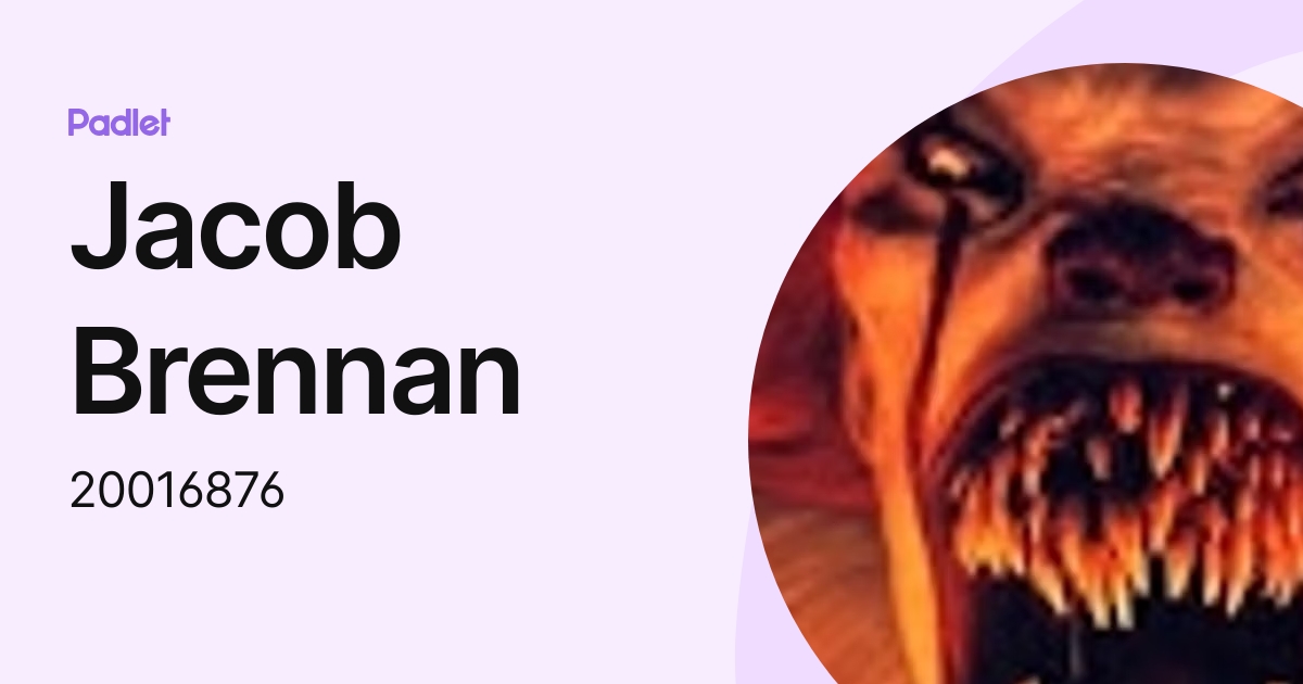 Jacob Brennan (20016876) profile | Padlet