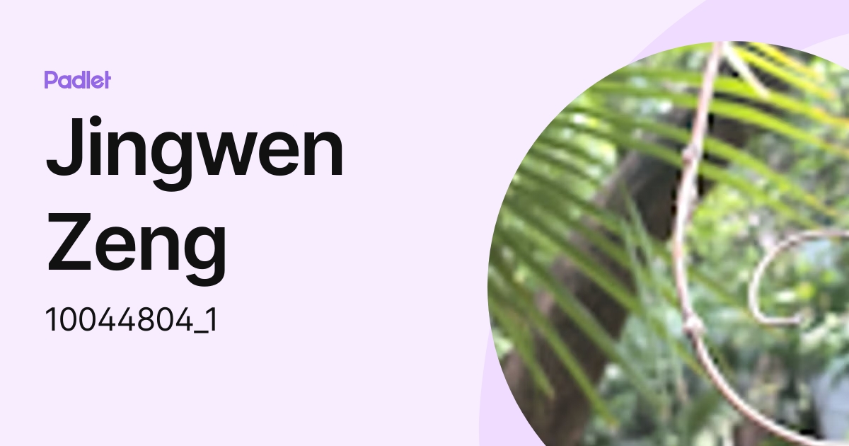 Jingwen Zeng (10044804_1) profile | Padlet