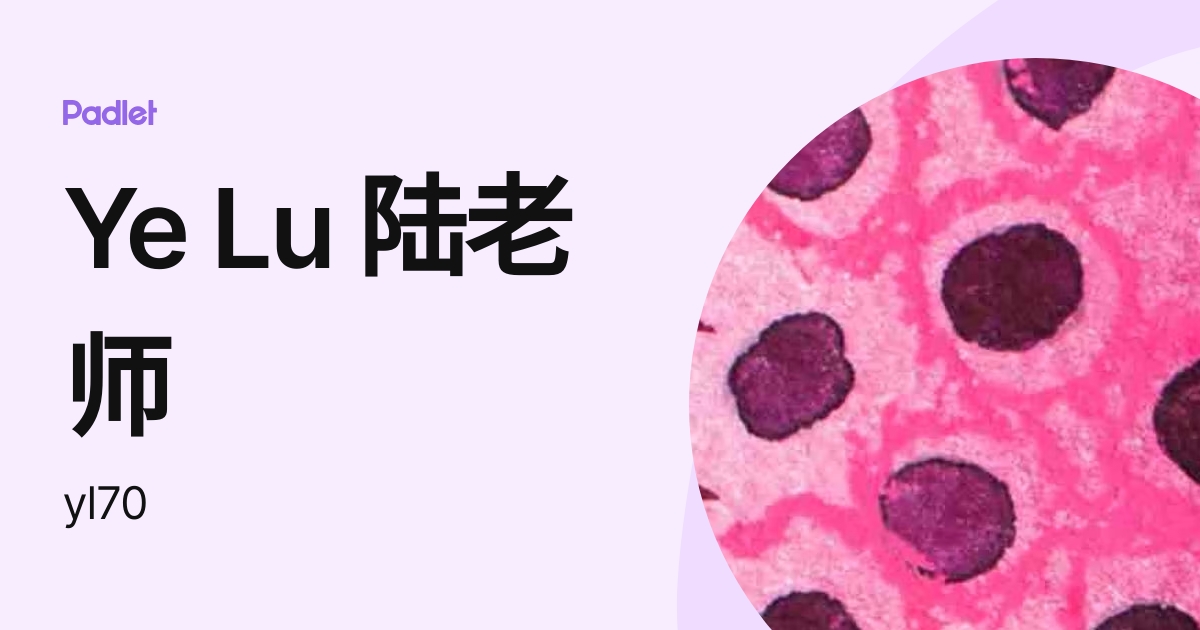 Ye Lu 陆老师 (yl70) profile | Padlet