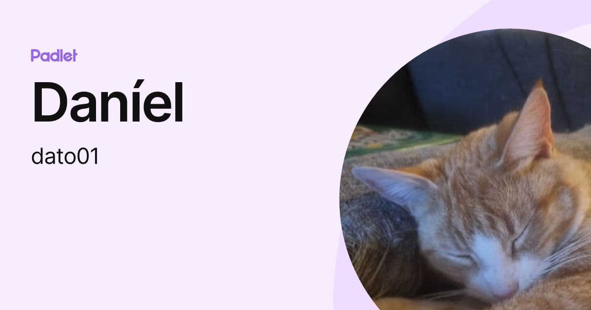 Daníel (dato01) profile | Padlet