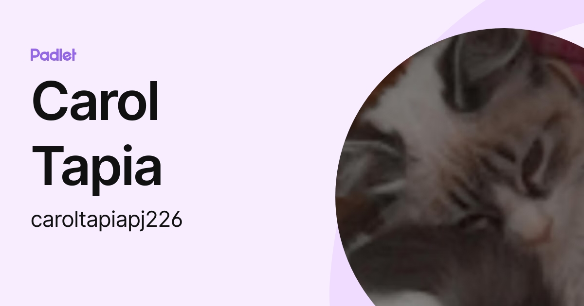 Carol Tapia (caroltapiapj226) profile | Padlet