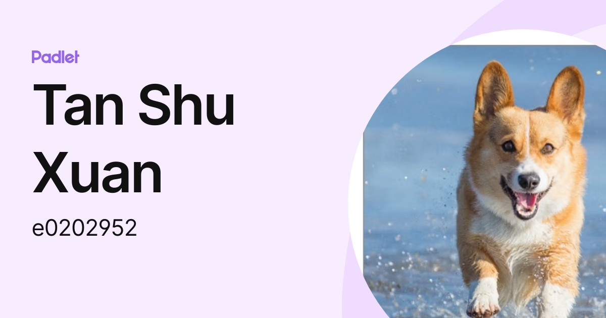Tan Shu Xuan (e0202952) profile | Padlet