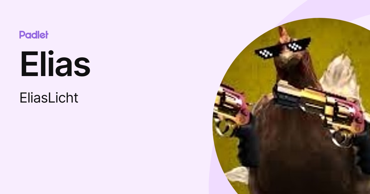 Elias (EliasLicht) profile | Padlet