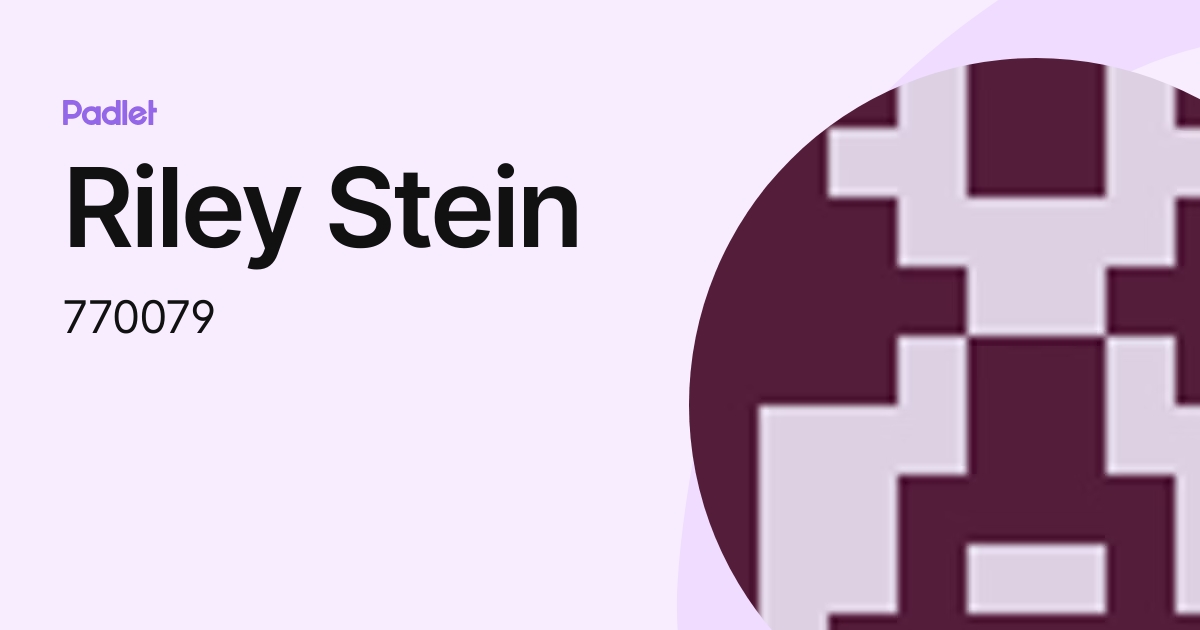 Riley Stein (770079) profile | Padlet