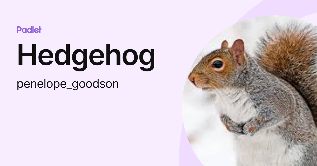 Hedgehog (penelope_goodson) profile | Padlet