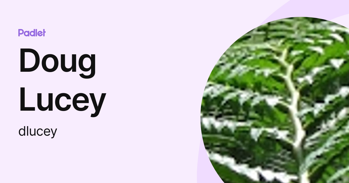 Doug Lucey (dlucey) profile | Padlet