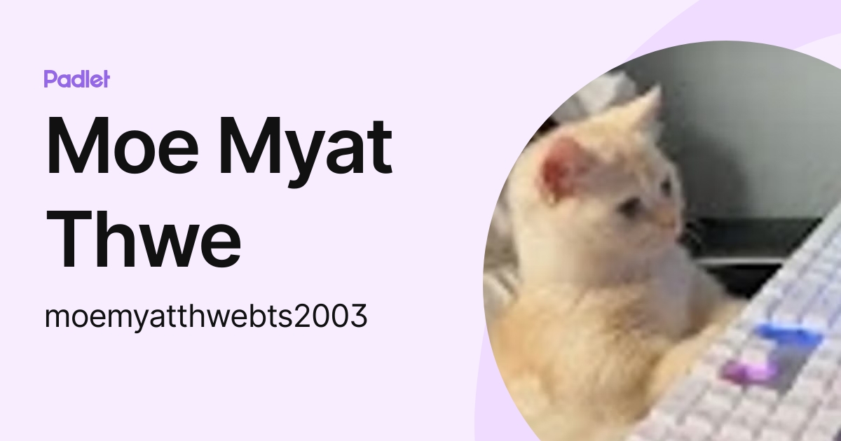 Moe Myat Thwe (moemyatthwebts2003) profile | Padlet