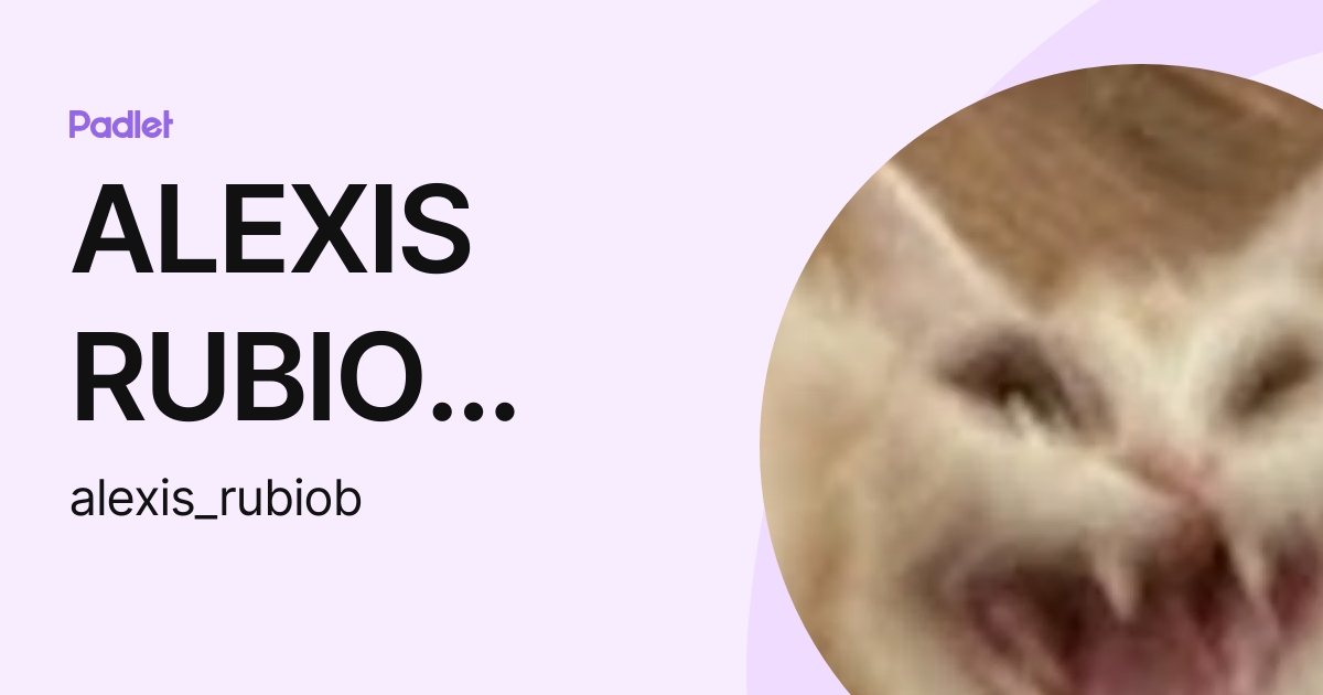 ALEXIS RUBIO BELLO (alexis_rubiob) profile | Padlet