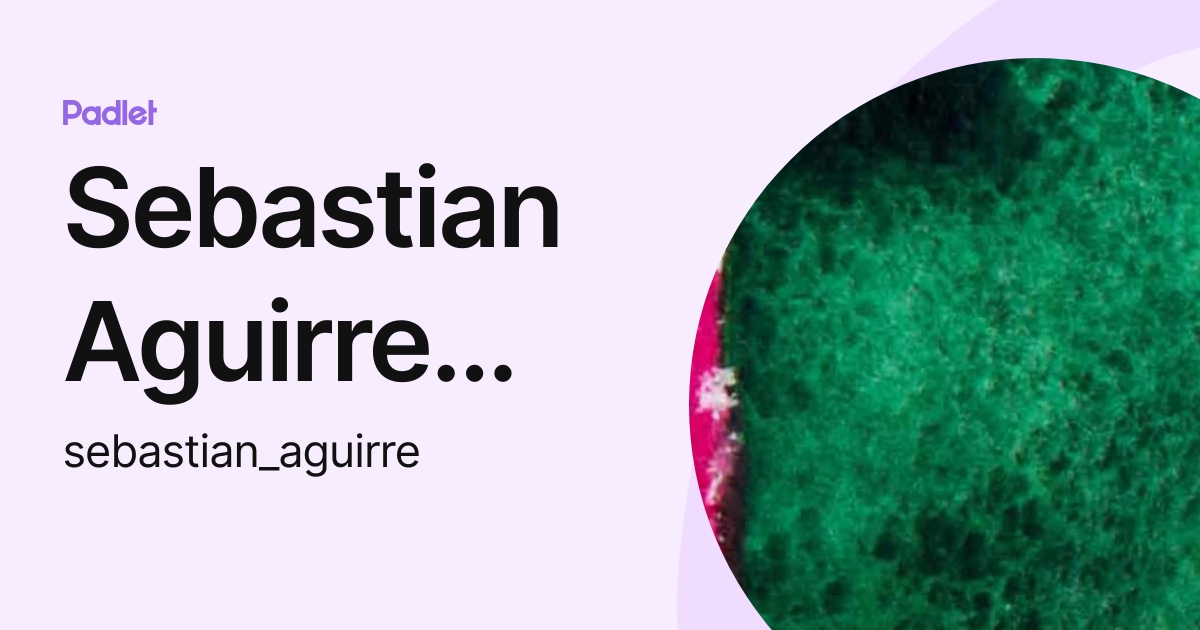 Sebastian Aguirre Bahamon (sebastian_aguirre) profile | Padlet